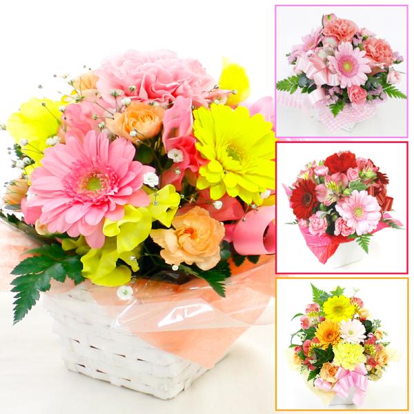 形状 アレンジメント 花材 デザイナー完全お任せの花材となります サイズ 高さ約20cm、幅約18cm、奥行き約18cm程度配送方法 ヤマト運輸での宅配ご用途に合わせた、フラワーデザイナー完全お任せのアレンジメントとなります。お誕生日や記念...