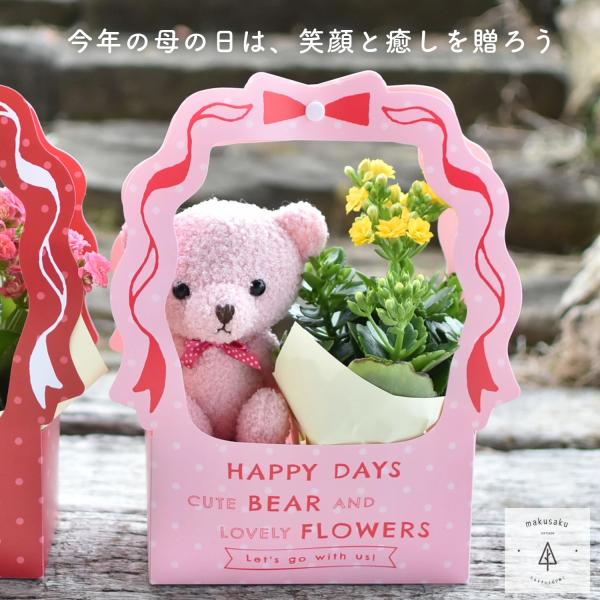 赤い鉢カバーにはブラウンベアピンクの鉢カバーにはピンクベア可愛いだけじゃなく、華やかさも演出してくれます。カランコエは「幸せを告げる花」花持ちがよく、お水は土が乾いた時にあげるだけ！明るい窓辺に置けば、長く楽しめる手間いらずのお花です。? ...