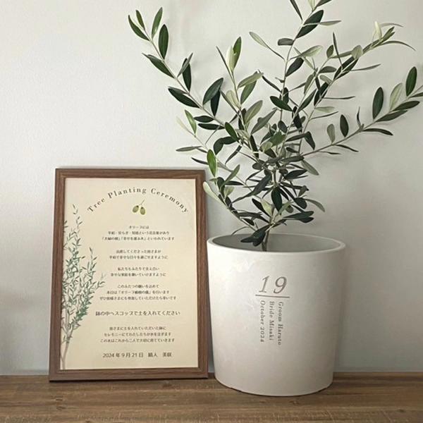 植樹セレモニーセットですお名前と記念日が彫刻で刻印され世界でひとつだけの記念の鉢カバーになります鉢は割れたり壊れたりしないよう、持ち運びやすいよう、あえて軽いアートストーンに※セレモニー用のセットですセレモニー用なので、小さめのオリーブで4...