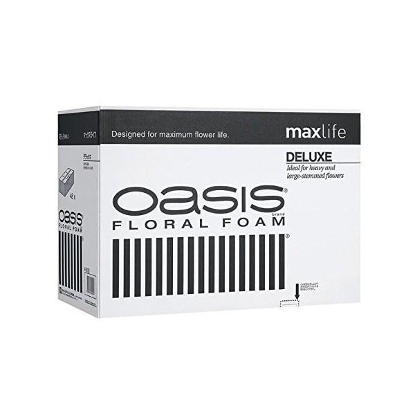 【発売日：2016年02月17日】●発注単位：1箱●サイズ：23×11×8cm●重量：約45g/個●材質：フェノール樹脂生花用ブリックは吸水させて使用することを目的とした製品で、通常サイズのものは、約2Lの水を吸収します。簡単にカットできる...