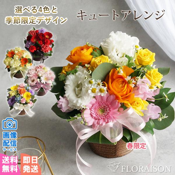 ※5月中旬〜9月まで生花商品はクール便料金を頂戴します（商品代込）■ギフト対応人気商品！キュートアレンジメント 選べる4カラーレッド、ピンク、オレンジ、ミックスから贈る相手のイメージやシーンに合わせてお選び下さい。季節限定デザインもございま...