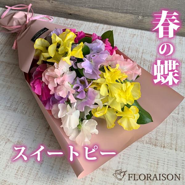 ■ギフト対応春限定(1/15~3/31まで)！春の花 スイートピーの花束ピンク、レッド、イエロー、パープル、ホワイトなど当店おまかせでミックスカラー。スイートピーの本数を増やすことも可能です！10本1000円、20本2000円、30本300...