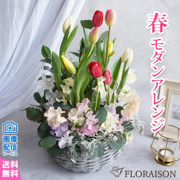 ■ギフト対応春モダンアレンジメント春だけの特別な花材、スイートピーとチューリップを使用した季節限定アレンジメント。スイートピーの花言葉は「門出・優しい思い出」、チューリップは「思いやり・愛の告白」。人生の節目に想いを込めて贈る花として、卒業...