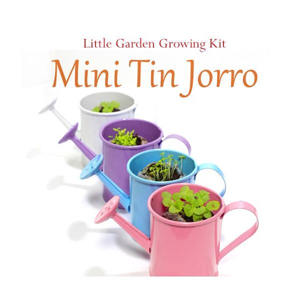 小さな小さなミニジョウロで育てるハーブの栽培キット♪小さいからデスクでも、狭い窓際でも！種と説明書・土が入ってます。土は圧縮乾燥されてますので水分で膨らませて種を蒔くだけです。バケツの中で栽培を楽しめますので場所も取らず簡単です。人気のハー...