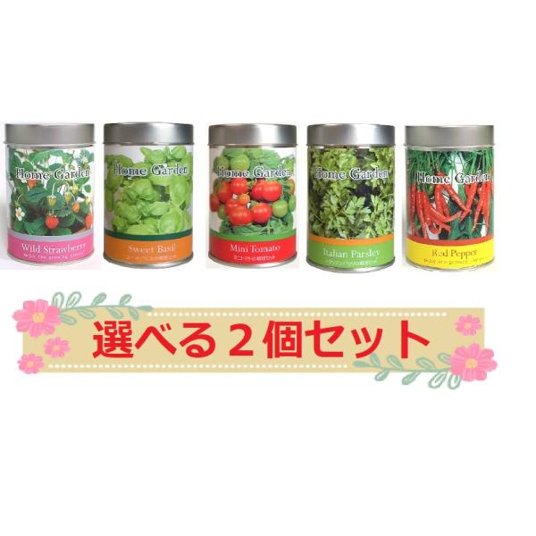 キッチンで育ったフレッシュハーブやミニトマト、トウガラシなどをちょっと摘んでサラダやお料理に！キッチンで育ててそのままお料理に使えちゃう！種と説明書・土・根腐れ防止の石が入ってます。土は圧縮乾燥されてますので水分で膨らませて種を蒔くだけです...