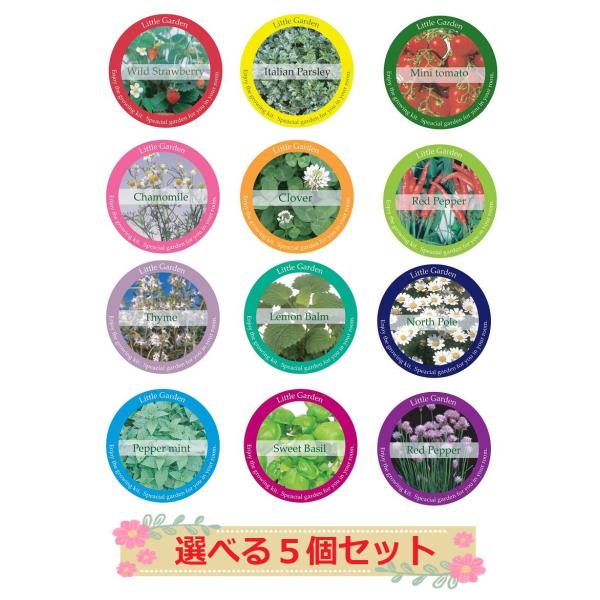 種と説明書・土が入ってます。土は圧縮乾燥されてますので水分で膨らませて種を蒔くだけです。缶の中で栽培を楽しめますので場所も取らず簡単です。商品サイズ：直径8.3×高さ3.3ｃｍ缶素材：スチール原産国：種／オランダ、タイ他　種以外／日本標準ま...