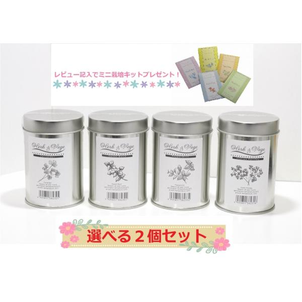 シンプルなパッケージで簡単に育てられるハーブの栽培キットです。キッチンなどで育ててお料理に使ったりできます！あると便利なイタリアンパセリの４種です。土は圧縮乾燥されてますので水分で膨らませて種を蒔くだけです。缶の中で栽培を楽しめますので場所...