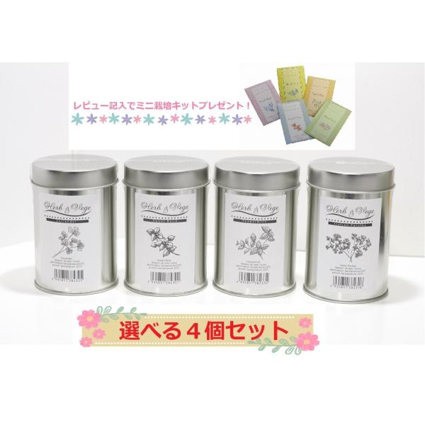 シンプルなパッケージで簡単に育てられるハーブの栽培キットです。キッチンなどで育ててお料理に使ったりできます！あると便利なイタリアンパセリの４種です。土は圧縮乾燥されてますので水分で膨らませて種を蒔くだけです。缶の中で栽培を楽しめますので場所...