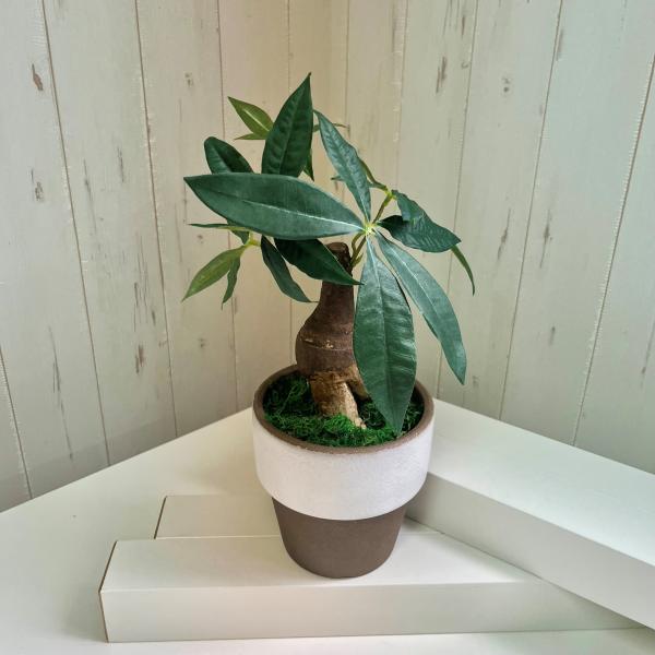 アーティフィシャルフラワー（高級造花）を使用しています。基本的なお手入れは不要です。花器は陶器です。　取り扱いにはご注意ください消費税込みの価格です。かわいいミニサイズのパキラ鉢植え！！どこでも置けて枯れる心配なし(^^♪トイレなんか水回り...