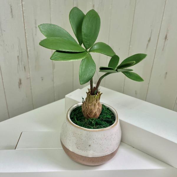 アーティフィシャルフラワー（高級造花）を使用しています。基本的なお手入れは不要です。花器は陶器です。　取り扱いにはご注意ください消費税込みの価格です。ちょこっと伸びた葉がかわいい癒し系( *´艸｀)置く場所など気にせず枯れることなし！！日の...