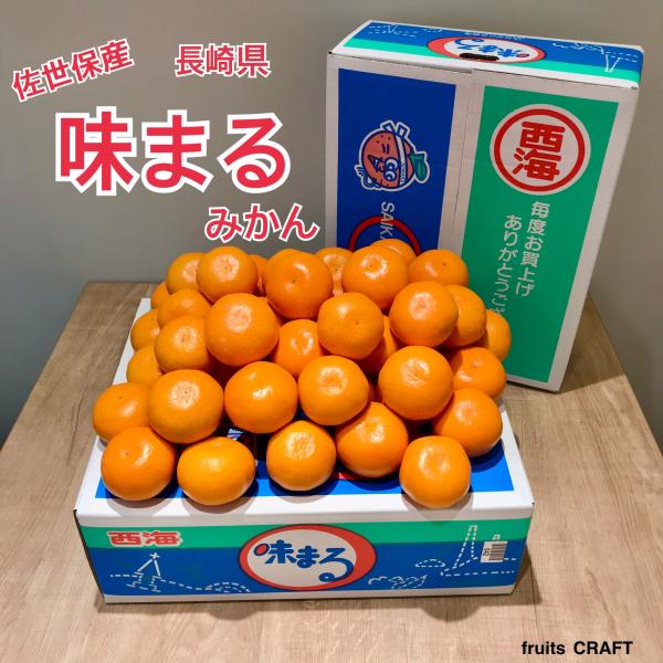 ●長崎県佐世保市産　味まるみかん 佐世保温州みかん 赤秀品 5kg入り(50玉前後）●JAながさき西海（長崎県 佐世保市）●光センサー選別で糖度12度以上保証品●M玉〜S玉のみをお送りいたします。※M玉を基準といたしますが、サイズの指定はご...