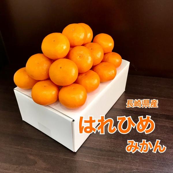 【発売日：2026年01月28日】●長崎県 諫早市 伊木力産 はれひめ(晴れ姫)●2L~L玉 2.5kg●25玉前後入り※サイズの御指定はご遠慮いただいております。※稀に種が入るものがありますのでご理解ください。※のし紙への名入れ、包装(簡...