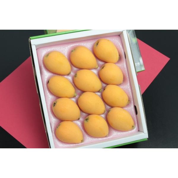 【発売日：2026年04月03日】●産地　　　長崎県 西彼杵産 北松浦郡産 東彼杵産●品種　　　ハウス長崎早生びわ　　　　　　ハウス茂木びわ●内容量　　赤秀品 500ｇ入(９〜１２玉入り）風袋込み650ｇ※低温輸送が向かない果実です。常温便...