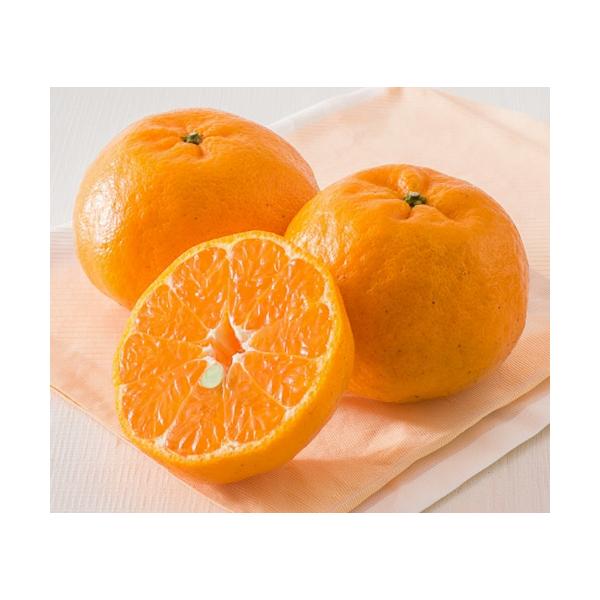 愛媛県屈指の柑橘産地、宇和島市吉田町で育ったポンカンを、**ご家庭用・訳あり（規格外・サイズ無選別）**としてお届けします。ポンカンは皮がやや厚めで、手で簡単に剥くことができるため、お子様からご年配の方まで食べやすい柑橘です。果肉は少し硬め...