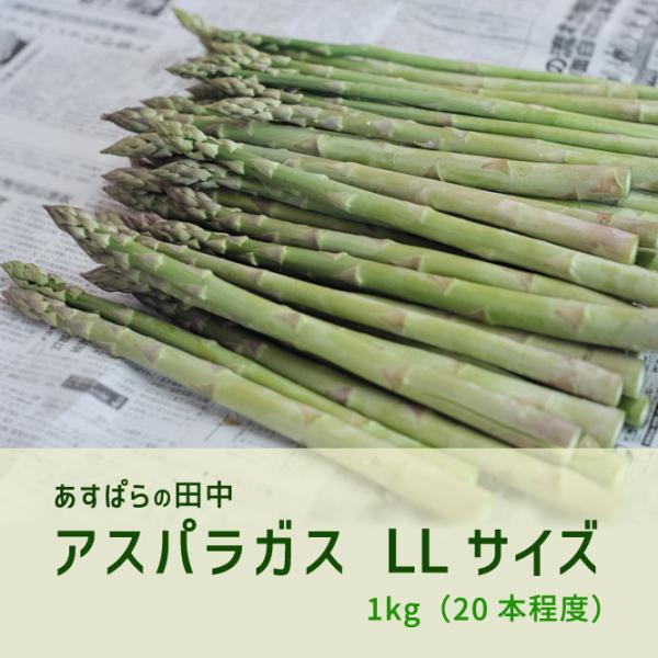 2023年 第64回福島県農業賞（新規就農部門）を受賞した「あすぱらの田中」の新鮮でみずみずしいアスパラです。茹でてそのまま食べても美味しいですが、肉や油との相性がとても良いので、ぜひ様々なアレンジでお楽しみください。一箱一箱、心を込めてお...