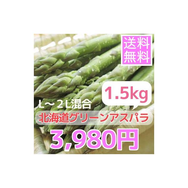 【発売日：2026年05月20日】【露地もの】北海道産グリーンアスパラガス（約1.5kg）Ｌ〜２Ｌサイズ、45〜65本程度※本数は目安です商品は5月下旬頃からの発送（若干前後）となり、着日指定は承っておりません。（沖縄・離島地区は別途送料を...