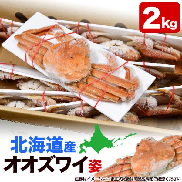 ・一番下の小足は製造工程により無い場合あり・輸送中の揺れや衝撃で胴と肩脚が外れる場合あり■名称オオズワイガニ姿（ボイル加熱済） ■原材料名オオズワイガニ（北海道産）、塩 ※メーカ次第で酸化防止剤■内容量2kg前後(6〜7尾入／1尾あたり28...