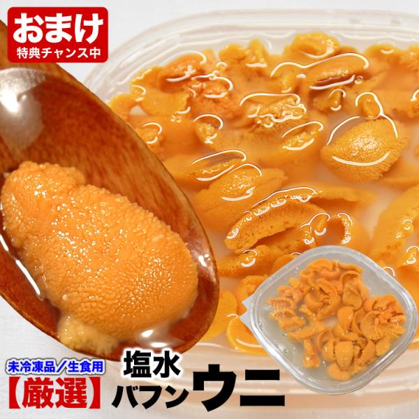 【発売日：2026年05月28日】■品名塩水生バフンウニ ■原材料名バフンウニ(北方四島ロシア産、北海道産)■内容量60g■消費期限パッケージ記載■保存方法.要冷蔵傷みやすいため冷蔵庫内で氷に囲うなど外気になるべく当たらないようにしてくださ...