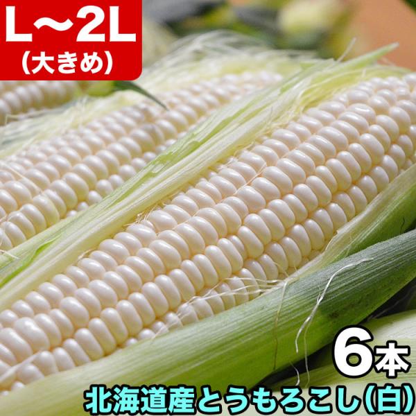 【発売日：2026年09月01日】猛暑や干ばつ等天候の影響で俵の一部に身の抜けがある場合がございます。■品名北海道産ホワイトコーン（皮つき）■内容量6本(L〜2Lサイズ)■保存方法皮を剥ぎ塩茹で後ラップやビニールに包み冷蔵又は冷凍保存■発送...
