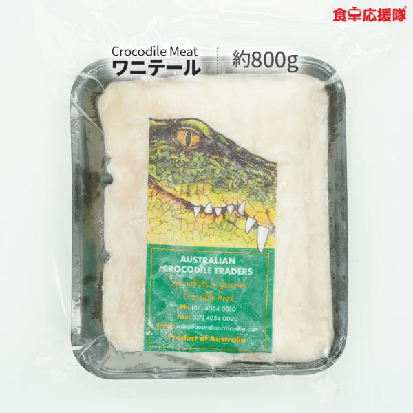 ■商品名: ワニ肉 テール肉■内容量:  約800g■生産国: オーストラリア■賞味期限:商品の発送時点で残り180日以上の商品をお届けします。■保存方法: 冷凍庫で保存■広告文責: 広告文責：株式会社コトラトレーディング Tel:03-5...