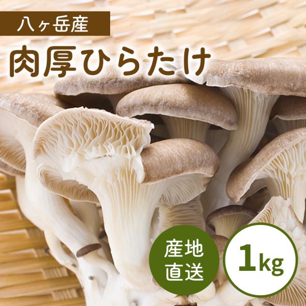 ■商品名：八ヶ岳の肉厚ひらたけ■内容量：1kg■原産地：山梨県産■保存方法：冷蔵保存の場合：数日・水気を拭き、キッチンペーパー＋袋・ヒダを上向きにして保存冷凍保存の場合：3〜4週間・切ってから冷凍・凍ったまま煮物・スープへ※水分を嫌うため「...