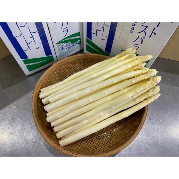ホワイトアスパラは、遮光栽培によって土壌栽培と比べ苦味やエグみが少なくて柔らかく甘いのが特徴です。
