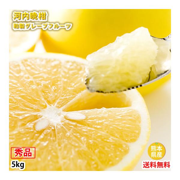 ■名称河内晩柑（ジューシーみかん）　■産地熊本県産■内容量秀品5kg（S〜3Lサイズ混合） ■送料※東北・北海道・沖縄・離島は別途送料を頂いております。■お届け日の目安5〜10営業日以内にて順次出荷（店舗休業日は発送されません）  ■賞味期...