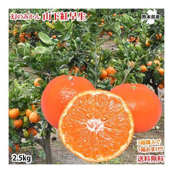 【発売日：2026年11月19日】■名称山下紅早生みかん■産地熊本県産■内容量2.5kg S〜2Lサイズ混合 ■おまけ特典・3箱購入で1箱おまけ送料無料[合計4箱でお届け]・同一配送先のみ適用となります■送料下記地域は別途送料を頂いておりま...