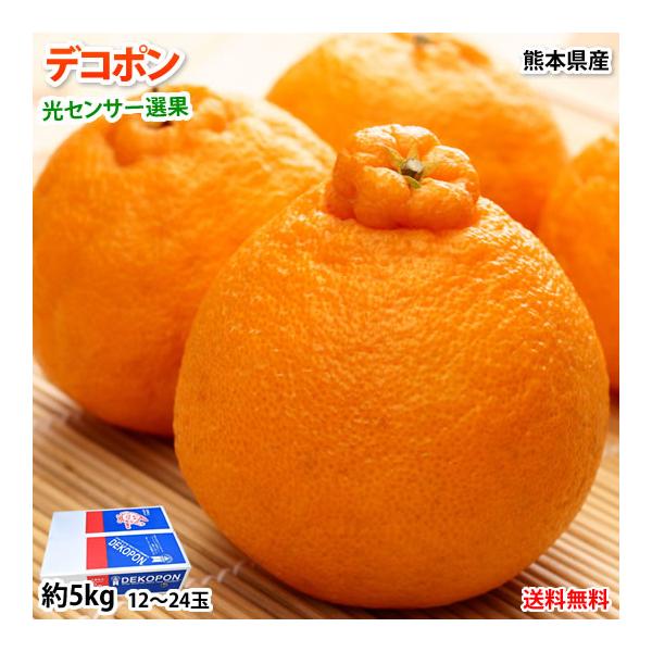 ■名称デコポン■産地熊本県産■内容量約5kg（12玉〜24玉）L〜3Lサイズ混合 ■送料下記地域は別途送料を頂いております。※東北300円・北海道500円・沖縄離島1,000円別途送料が掛かります。予めご了承くださいませ。■お届け日の目安5...