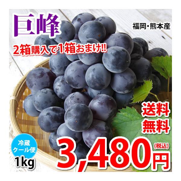 【発売日：2026年07月16日】■名称巨峰■産地福岡・熊本県産■内容量約1.2kg（約300g×4パック） ■送料下記地域は別途送料を頂いております。※東北300円・北海道500円・沖縄離島1,000円別途送料が掛かります。予めご了承くだ...