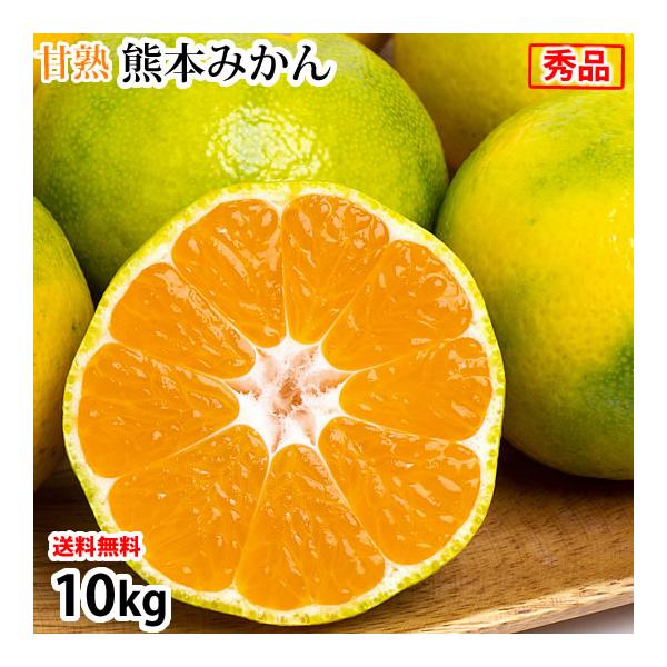 【発売日：2026年10月01日】■名称みかん■産地熊本県産■内容量10kg（2S〜Ｌ サイズ混合）■送料佐川急便で送料無料下記地域は別途送料を頂いております。※東北300円・北海道500円・沖縄離島1,000円別途送料が掛かります。予めご...