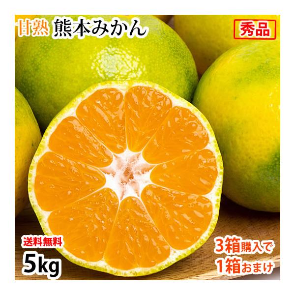 【発売日：2026年10月01日】■名称みかん■産地熊本県産■内容量5kg（2S〜Ｌ サイズ混合）■特典・3セット購入で1セットおまけ（合計20kgを2箱でお届け）※複数箱購入の場合は箱はまとめてお届けとなります同一配送先のみの適用となりま...