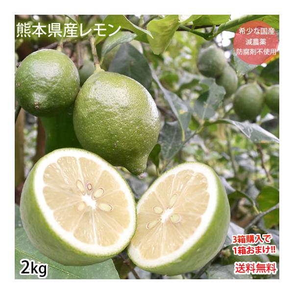 ■名称レモン■産地熊本県産■品種リスボンまたはマイヤーになります。品種はお選び出来ません。果皮の色はグリーンから黄色に変わっていきます。■内容量2kg（2S〜L）サイズ混合　玉数目安（14〜24玉）お約束している数ではございません。 ■おま...