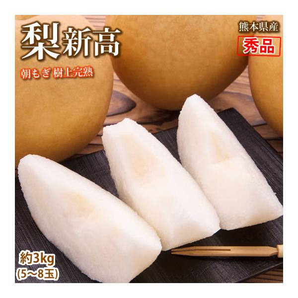 【発売日：2026年09月25日】■名称梨 新高■産地熊本県産■内容量約3kg（5〜8玉サイズ混合）■送料下記地域は別途送料を頂いております。※東北300円・北海道500円・沖縄離島1,000円別途送料が掛かります。予めご了承くださいませ。...