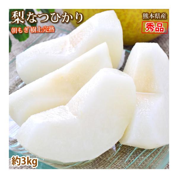 【発売日：2026年07月21日】■名称梨 なつひかり■産地熊本県産■内容量約3kg（7玉〜11玉サイズ混合）■送料下記地域は別途送料を頂いております。※東北300円・北海道500円・沖縄離島1,000円別途送料が掛かります。予めご了承くだ...