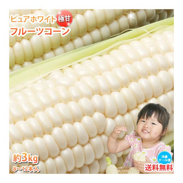 【発売日：2026年06月15日】■商品情報とうもろこし ピュアホワイト■産地九州産■内容量約3kg（8〜12本）■送料下記地域は別途送料を頂いております。※東北300円・北海道500円・沖縄離島1,000円別途送料が掛かります。予めご了承...