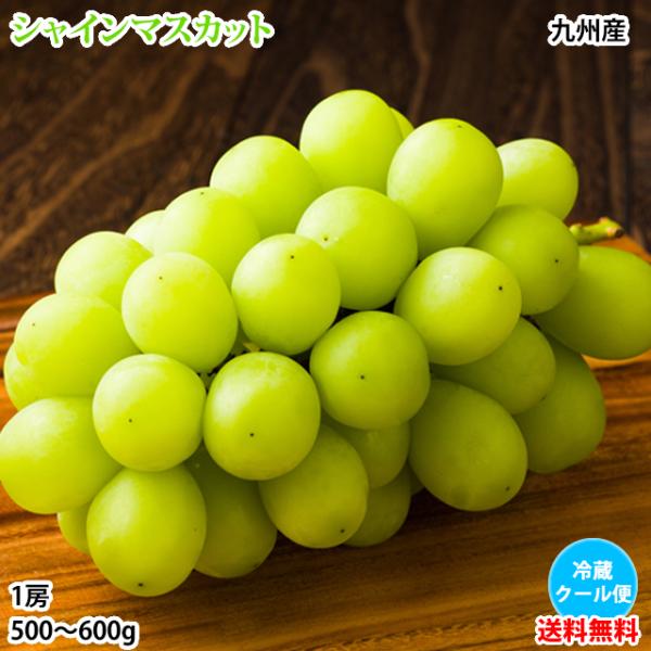 【発売日：2026年07月24日】■名称シャインマスカット■産地九州産■内容量1房（500〜600g） ■送料下記地域は別途送料を頂いております。※東北300円・北海道500円・沖縄離島1,000円別途送料が掛かります。予めご了承くださいま...