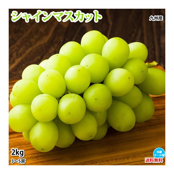■名称シャインマスカット■産地九州産■内容量2kg（3〜5房） ■送料下記地域は別途送料を頂いております。※東北300円・北海道500円・沖縄離島1,000円別途送料が掛かります。予めご了承くださいませ。■お届け日の目安5〜10営業日以内に...
