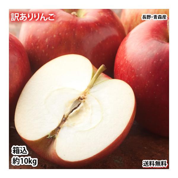 ■名称 訳ありりんご■産地 長野・青森県産■内容量 10kg 箱込 (内容量9kg+不良果補償分500g) サイズ混合 (シミ・黒点・傷あり・色むら・不揃い)■送料 下記地域は別途送料を頂いております。※東北300円・北海道500円・沖縄離...