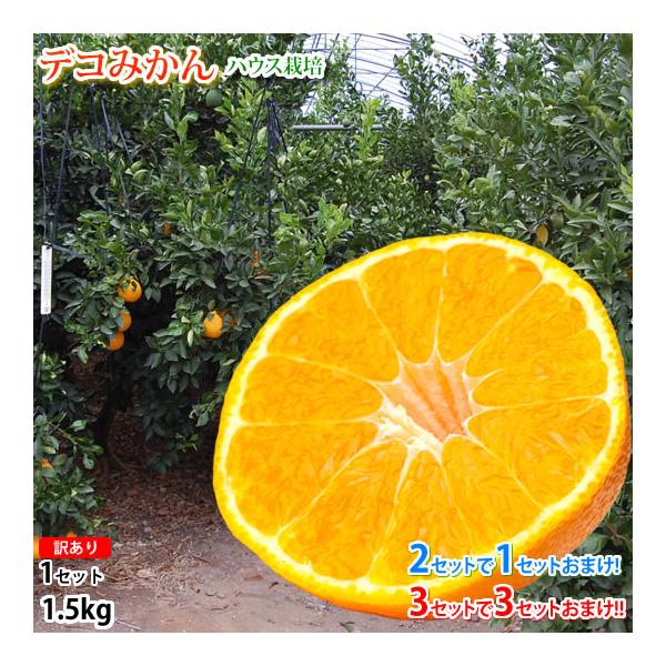 【発売日：2025年12月19日】■名称訳ありハウスデコみかん（デコポンと同品種不知火）■産地熊本県産■内容量1.5kg（5玉前後〜10玉前後）サイズ：M〜3L混合 ■特典・2セット購入で1セット分おまけ[合計4.5kgを1箱でお届け]・3...