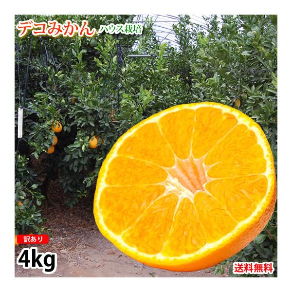 ■名称訳ありハウスデコみかん（デコポンと同品種不知火）■産地熊本県産■内容量4kg（サイズ：M〜3L混合）■送料下記地域は別途送料を頂いております。※東北300円・北海道500円・沖縄離島1,000円別途送料が掛かります。予めご了承ください...