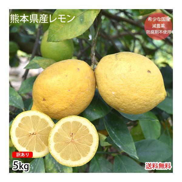 ■名称レモン■産地熊本県産■品種リスボンまたはマイヤーになります。品種はお選び出来ません。果皮の色はグリーンから黄色に変わっていきます。■内容量5kgサイズ混合（キズ・シミ・黒点・形・色づきなどの訳あり品です） ■配送方法佐川急便・ヤマト運...