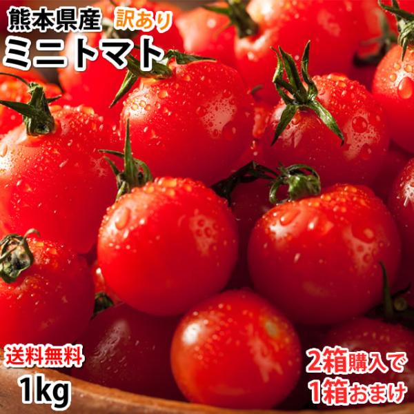 ■名称ミニトマト■産地熊本県産■内容量1kg※サイズ無選別になります。(シミ・黒点・傷あり・不揃い)■特典2箱購入で1箱おまけ（計3箱を１箱にまとめてお届け）※同一配送先のみの適用となります。■送料下記地域は別途送料を頂いております。※東北...