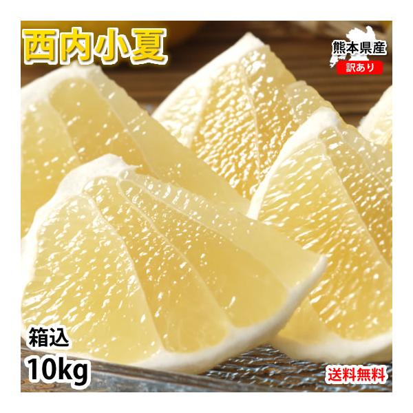 ■名称訳あり西内小夏■産地熊本県産■内容量箱込約10kg（内容量9kg＋不良果補償分500ｇ） ※サイズ無選別になります。(シミ・黒点・傷あり・不揃い)■送料下記地域は別途送料を頂いております。※東北300円・北海道500円・沖縄離島1,0...