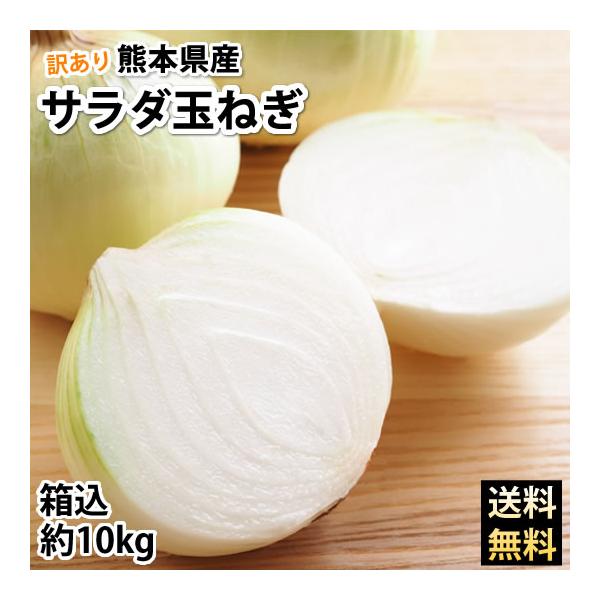 ■名称訳ありサラダ玉ねぎ 熊本県産■内容量箱込10kg（内容量9kg+不良補償分500g）※サイズ無選別になります。(シミ・黒点・傷あり・不揃い・キズ・形がいびつ・皮がめくれてる・1玉が2玉分かれ)※箱はリサイクル箱を使用する場合がございま...