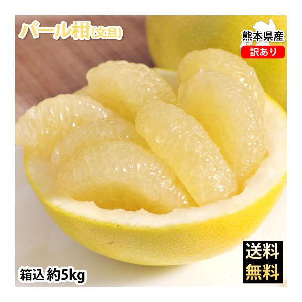 ■名称訳ありパール柑■産地熊本県産■内容量約5kg箱込（内容量4kg＋不良果補償分500ｇ）サイズ無選別 (シミ・黒点・傷あり・不揃い)  ■送料下記地域は別途送料を頂いております。※東北300円・北海道500円・沖縄離島1,000円別途送...