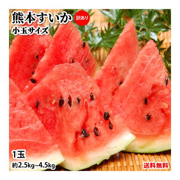 【発売日：2026年06月02日】■名称訳あり熊本すいか 小玉サイズ■産地熊本県産■内容量1玉 (2.5kg〜4.5kg）2S〜Mサイズ■送料下記地域は別途送料を頂いております。※東北300円・北海道500円・沖縄離島1,000円別途送料が...