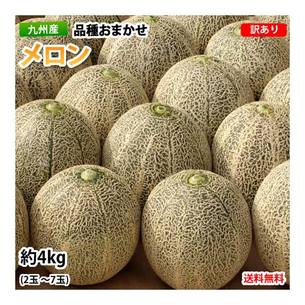 【発売日：2026年05月22日】■名称訳ありメロン 品種おまかせ■産地九州産■内容量約4kg（2〜7玉）■品種キンショウメロン、イエローキング、エリザベス、肥後グリーン、プリンス、レノン、タカミ、アムス、クインシーメロン、リゾート、アンデ...