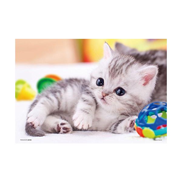 ・あそぼっか  L74-147・・Color:あそぼっかStyle:150ピース・(C)Satoshi Konuma・   完成サイズ:26x38cm