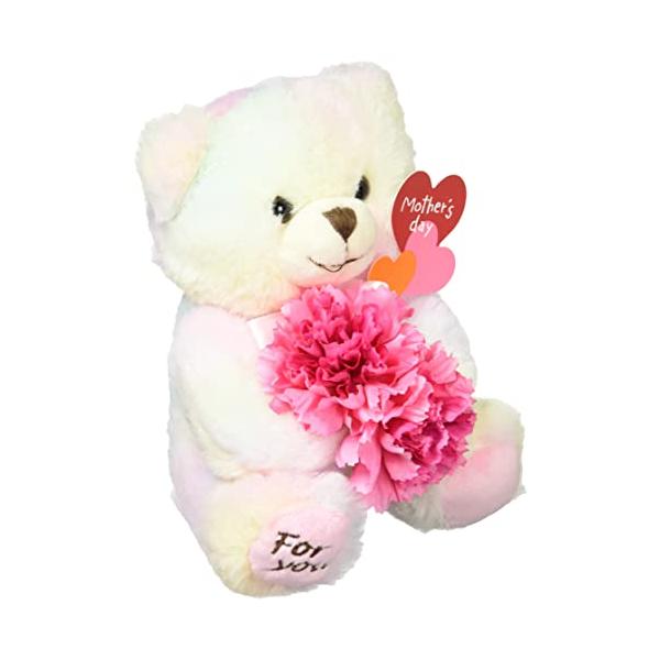 ・レインボーB 中 280FMA-SYRS・・Size:中Color:レインボーB・〔サイズ〕ボックス:W150(135)×H200×D150(135)mm・   〔サイズ〕クマ:W170×H190×D130mm・   ぬいぐるみは商品によ...